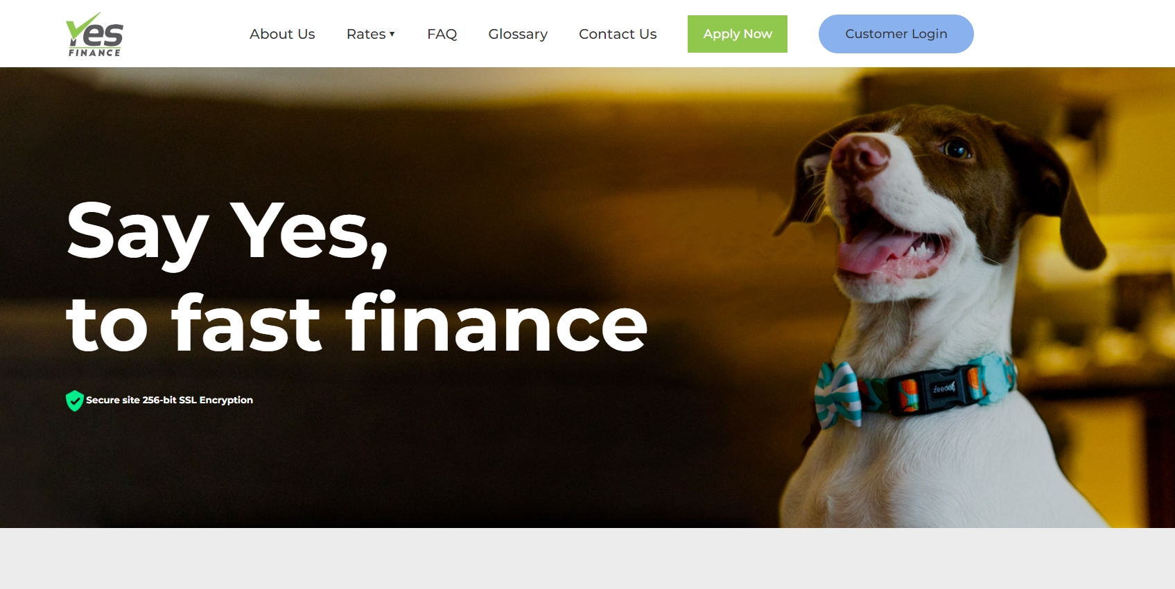 Yes Finance Review: Features, Rates, Requirements, and Customer ...