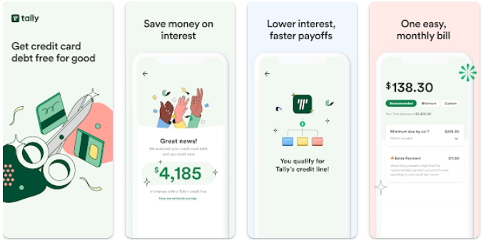 Tally mobile application: free download in AppStore®, Google Play® or ...