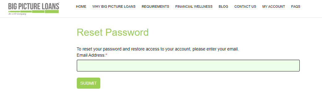 Full Big Picture Loans Account Review 2025