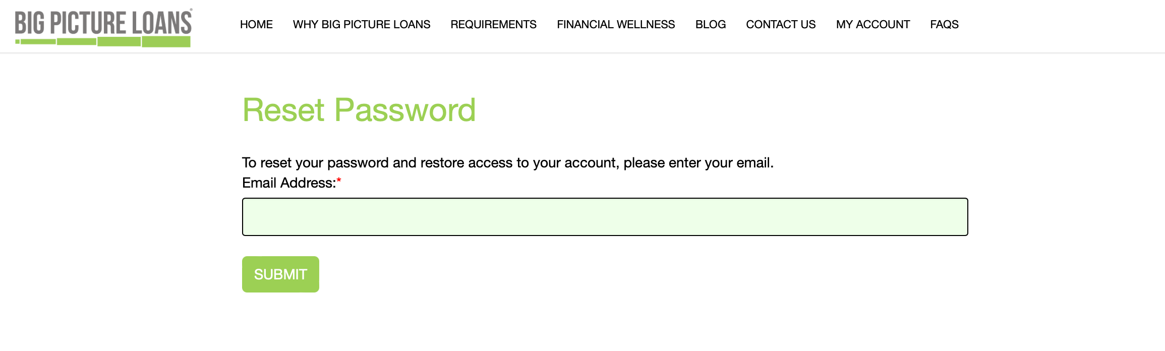 Full Big Picture Loans Account Review 2025
